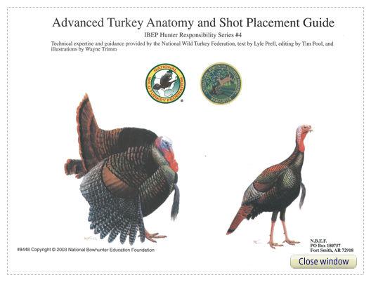 Advanced Turkey Anatomy and Shot Placement Guide, w/overlays – nbef