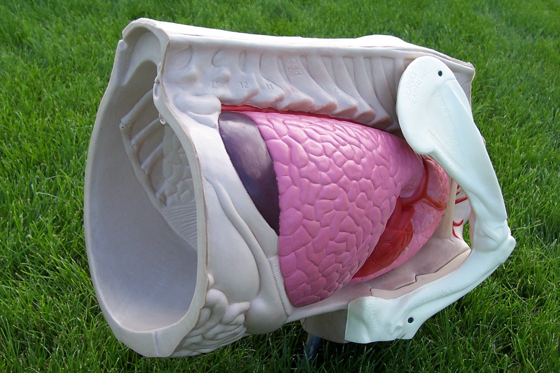 Products – Page 2 – nbef