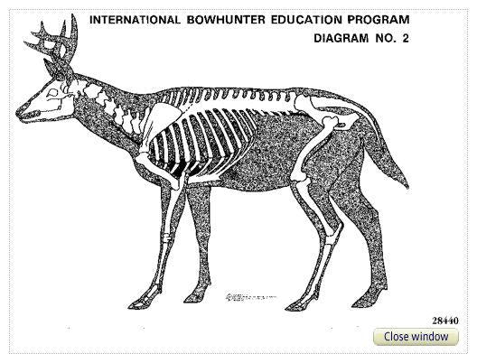 Charts, Deer Diagrams – nbef
